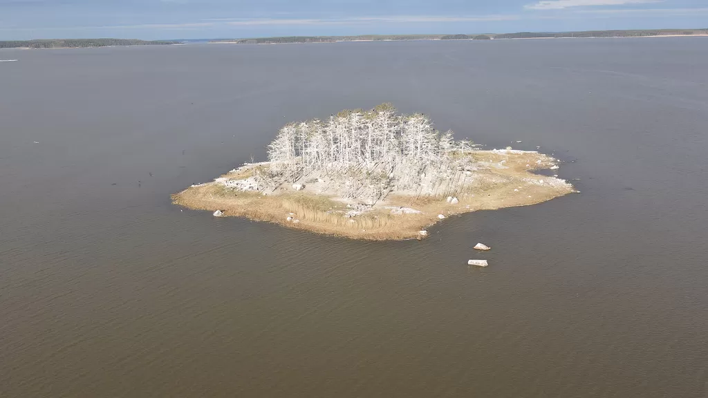 Airiston-Velkuan kalatalousalueelle lupa merimetsopesintöjen estämiseen ...